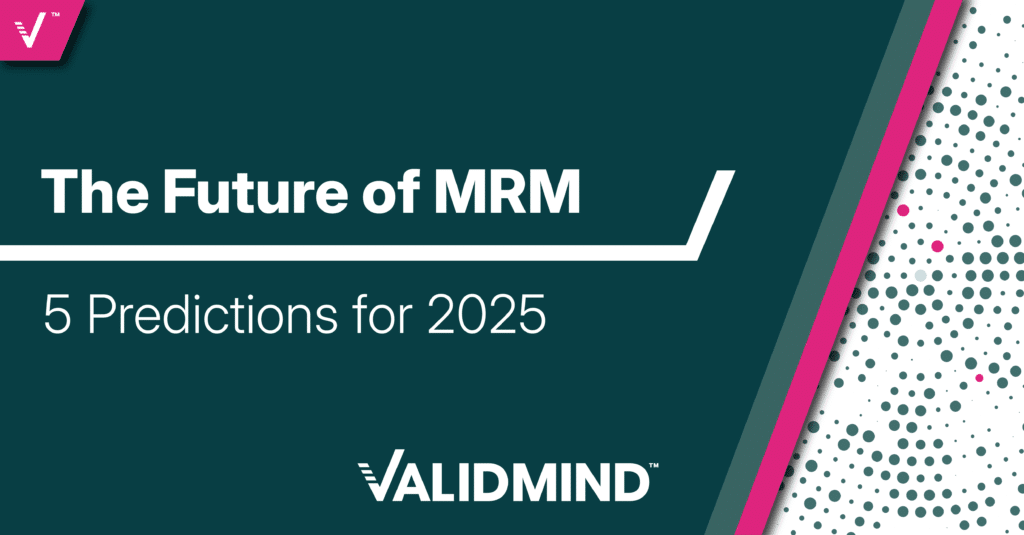 5 Predictions for Model Risk Management and AI Risk in 2025 - ValidMind